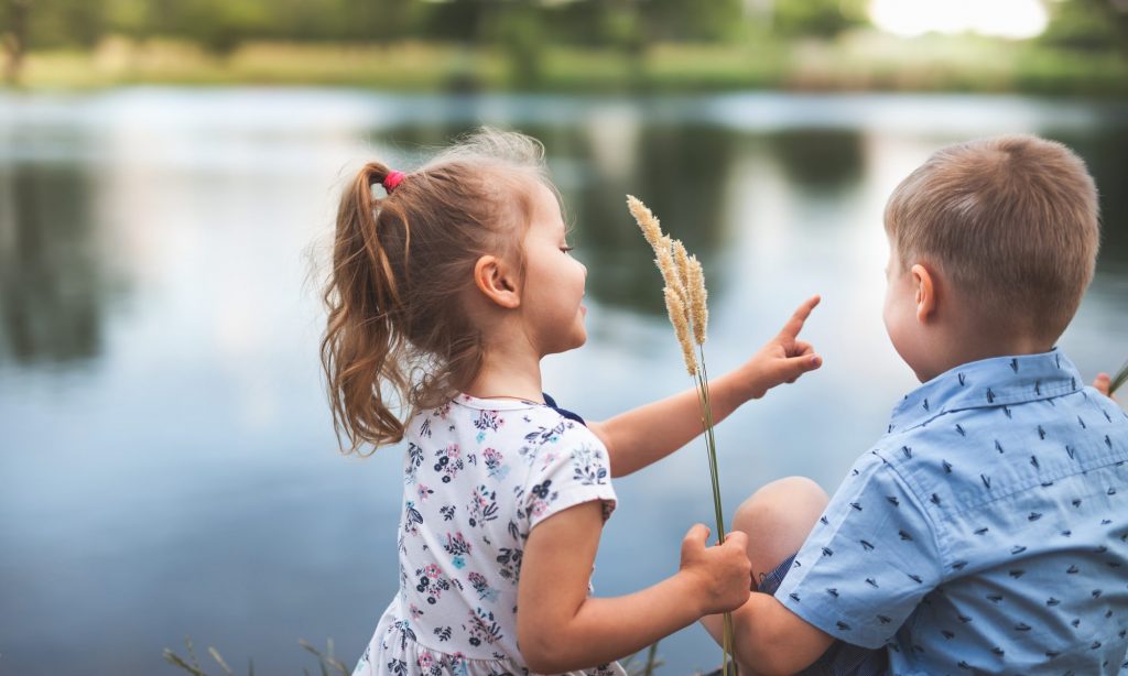 Pay My Dues - DNI Properties